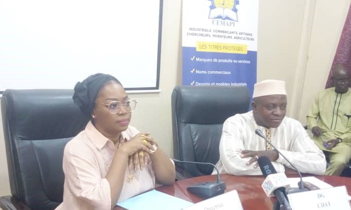 Mali : les acteurs du bogolan outillés sur l’indication géographique et ...